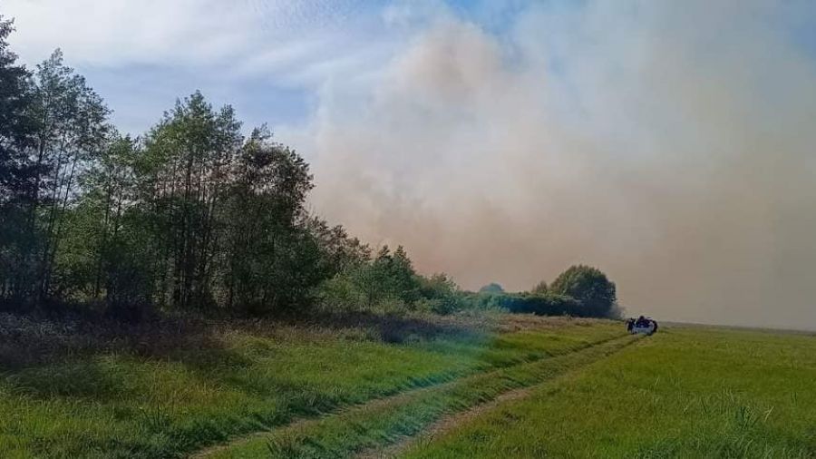 Biebrzański Park Narodowy płonie Akcję strażaków utrudnia silny wiatr