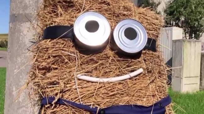 Teleexpress Extra | TVP INFO