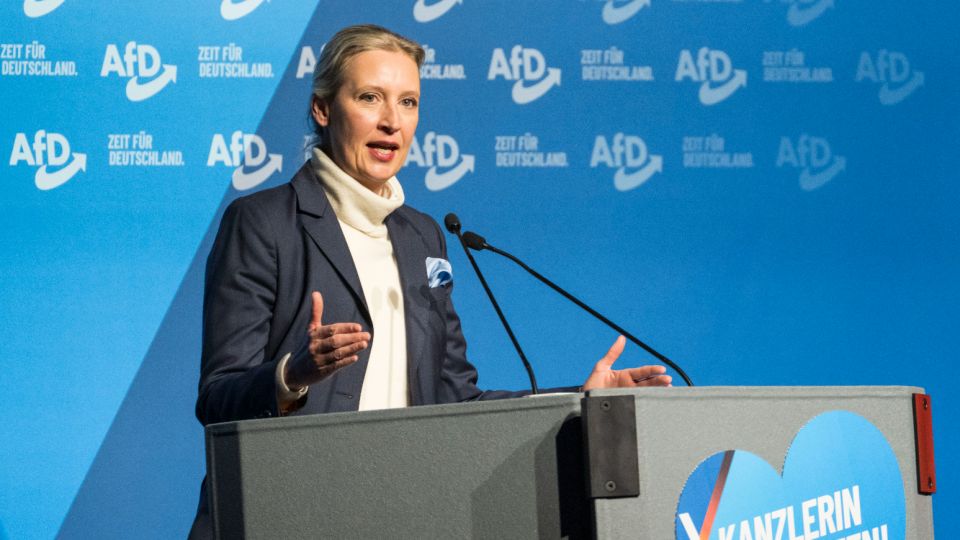 Germany's far-right AfD tops major poll for first time