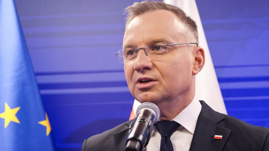 Poland faces ‘gang terror’ by Georgian mobsters, experts warn