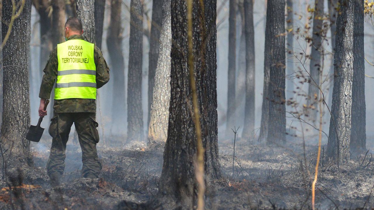 Lubuskie: Były żołnierz WOT w rękach policji. Mężczyzna oblał i ...