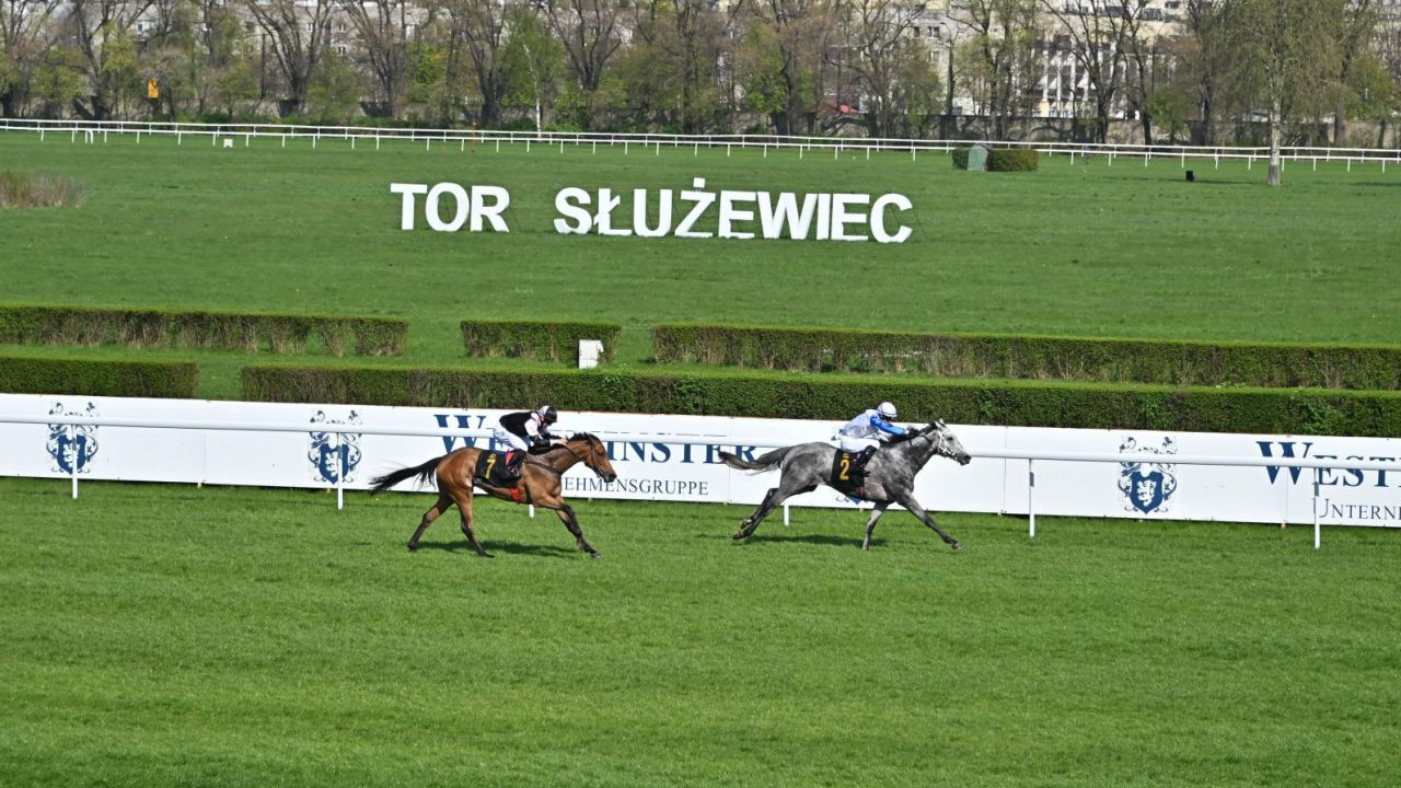Wyścigi konne, Służewiec 2024: Nagroda Europy [ZAPIS] | TVP SPORT