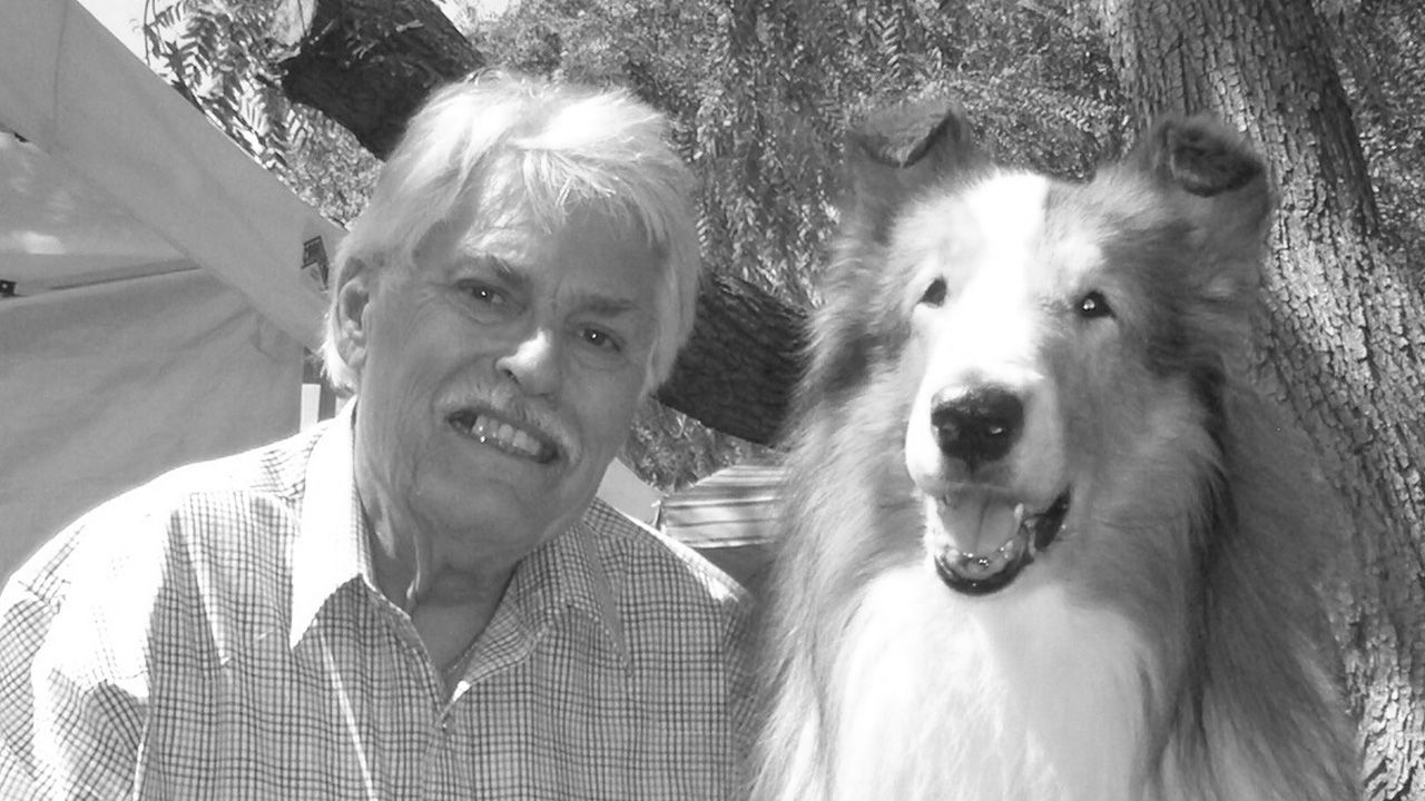 Nie żyje Bob Weatherwax, treser psów wcielających się w Lassie | TVP INFO