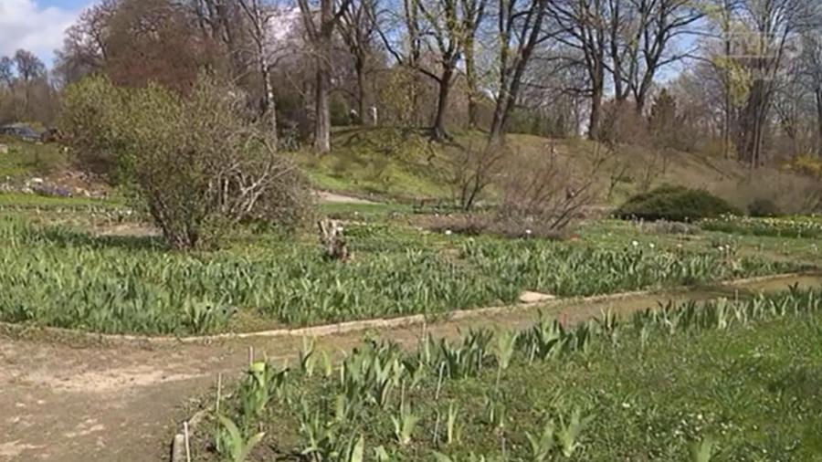 Lublin. Ogród Botaniczny UMCS otwarty po zimowej przerwie Lublin. Ogród Botaniczny UMCS otwarty po zimowej przerwie