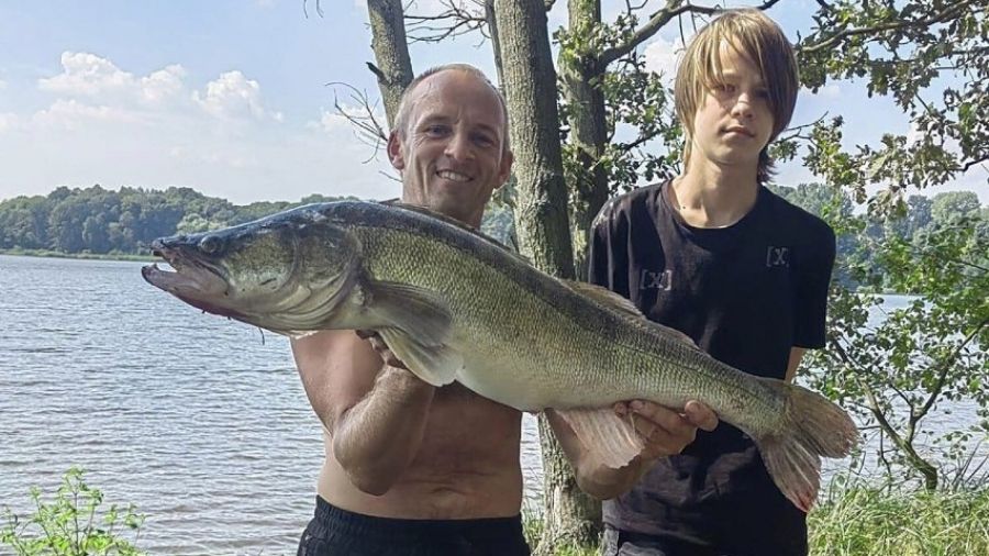 Imponujący sandacz w Zalewie Sulejowskim. Okazałą rybę złowił wędkarz z Sulejowa