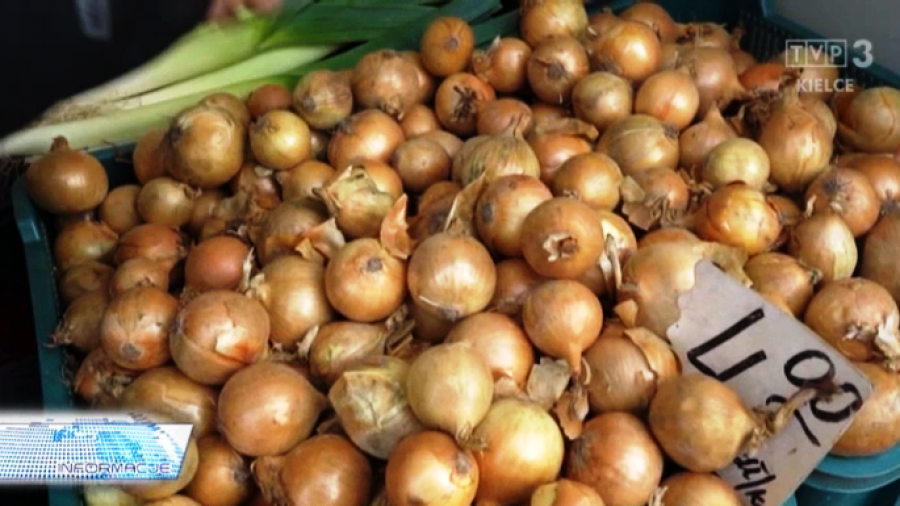 Polska cebula podbija świat. W Europie jej brakuje, a w Azji stała się ...