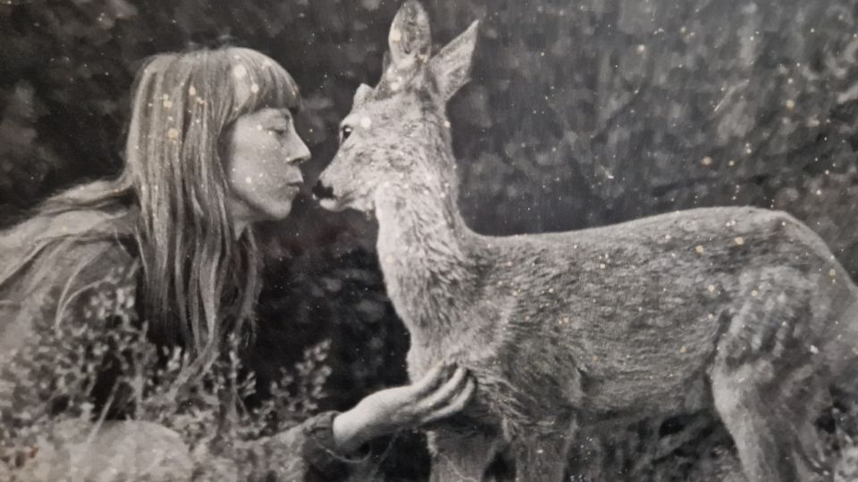 Simona Kossak: Życie w Harmonii z Naturą - historia kobiety, która ...