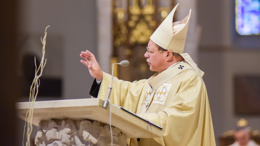 W kościołach odczytano list kard. Rysia. Apeluje ws. imigrantów i zapowiada powołanie komisji ds ...