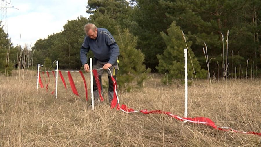 Skutecznym sposobem odstraszania wilków są fladry, które można odbierać ...